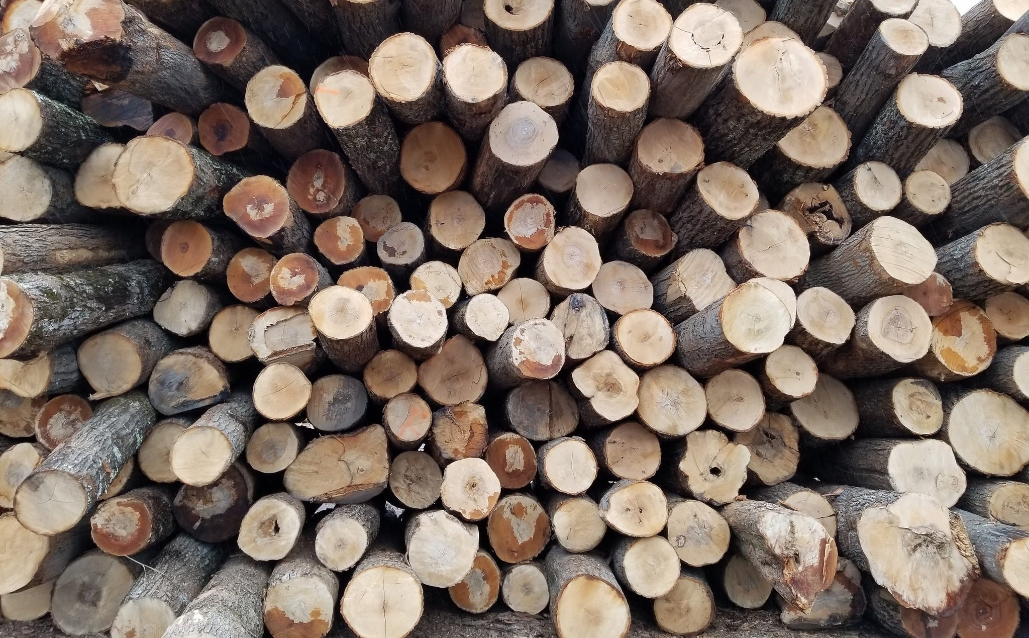 Projecting Lumber Demand in the U.S. and Abroad | USDA